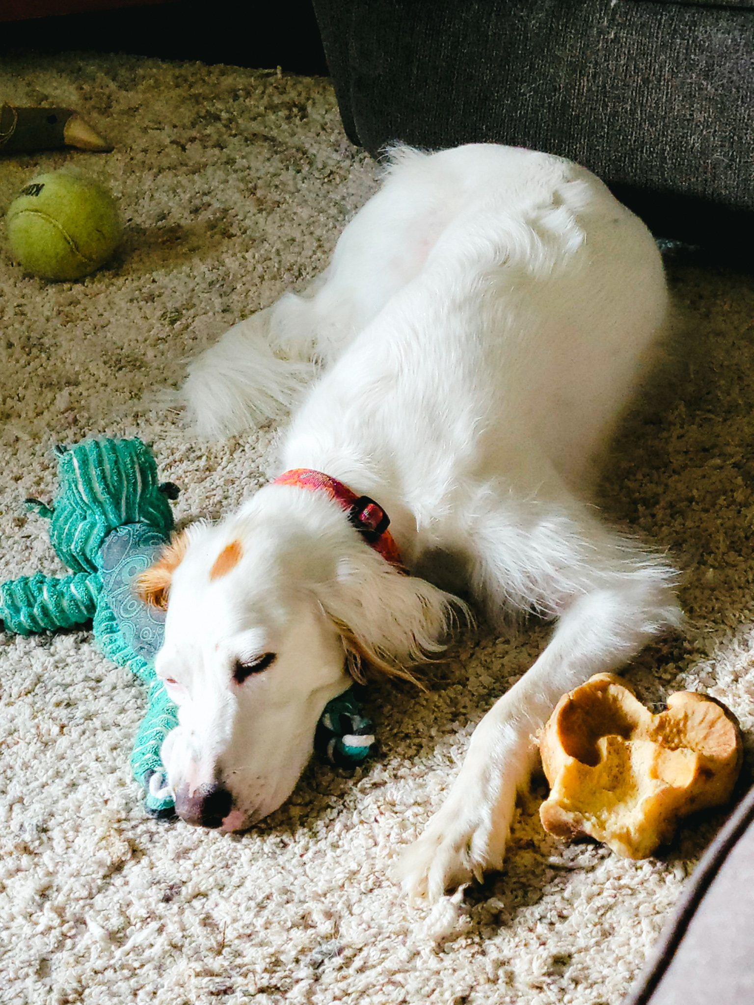 30+ Years Helping You Excel In Technology - netEffx