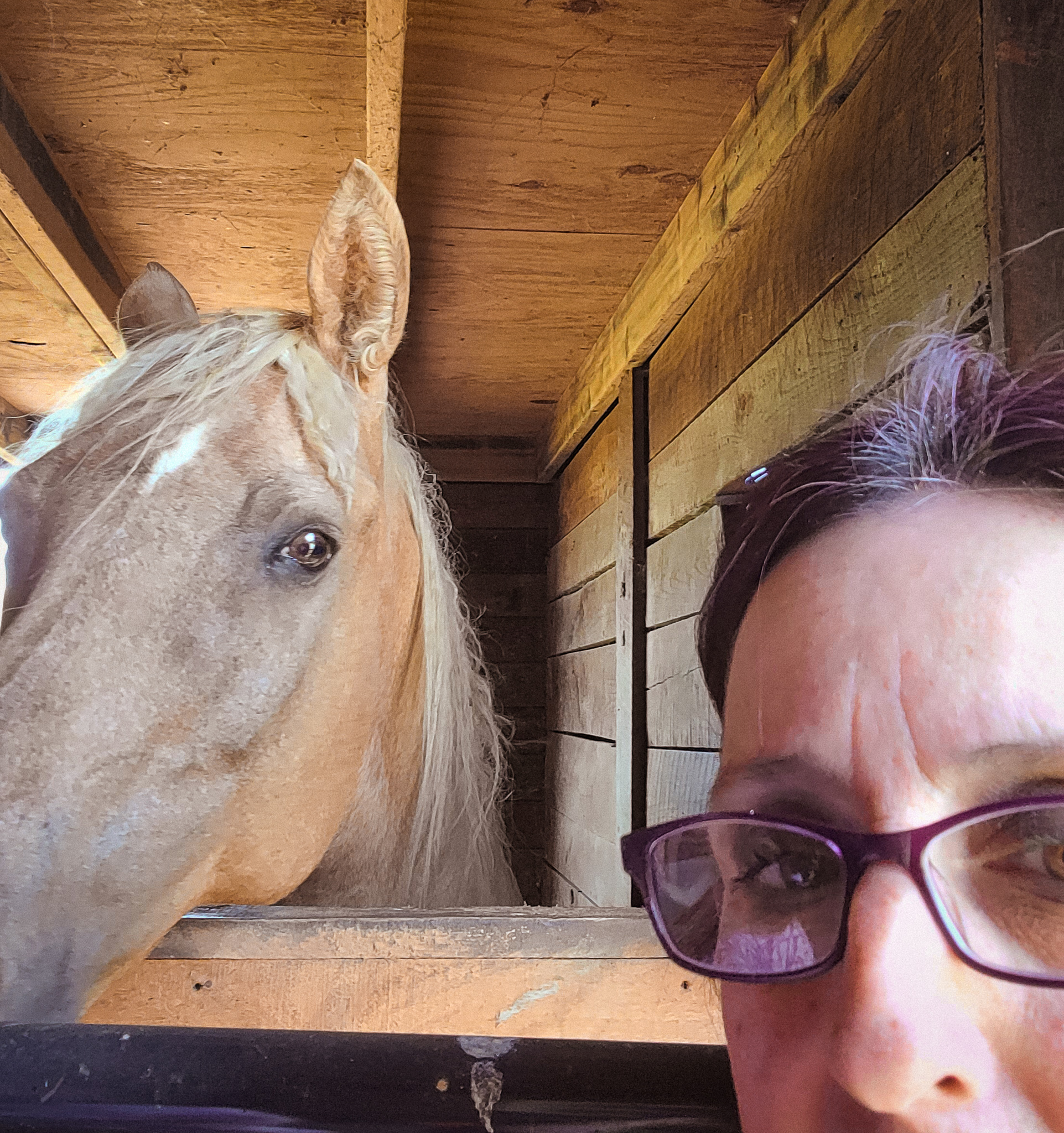 30+ Years Helping You Excel In Technology - netEffx